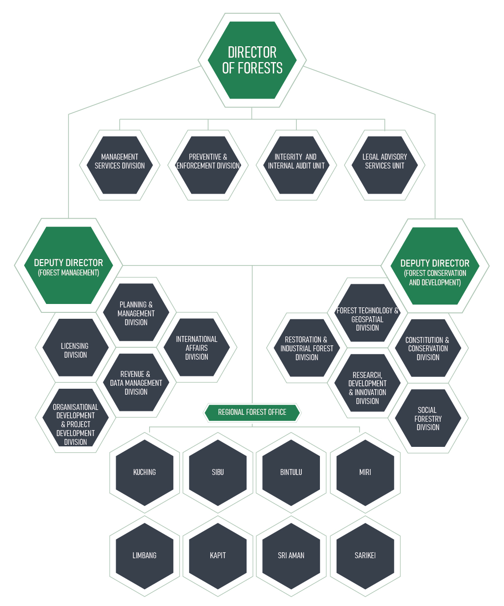 Organisation Chart - Official Website of Forest Department Sarawak